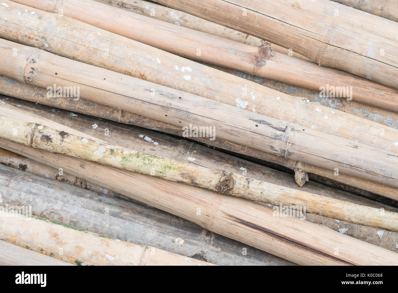 Dried bamboo sticks hi-res stock photography and images - Alamy