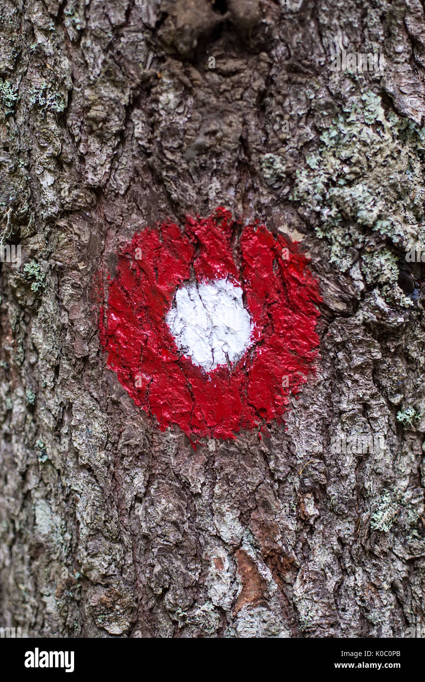 Red and white circle trail blazing sign in the forest Stock Photo - Alamy