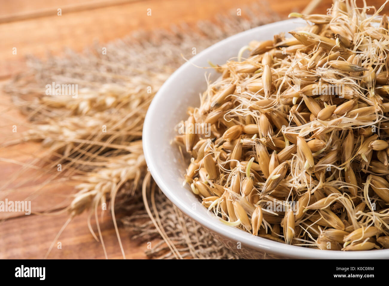 Sprouted grain oats in a bowl on a wooden table with space for text ...