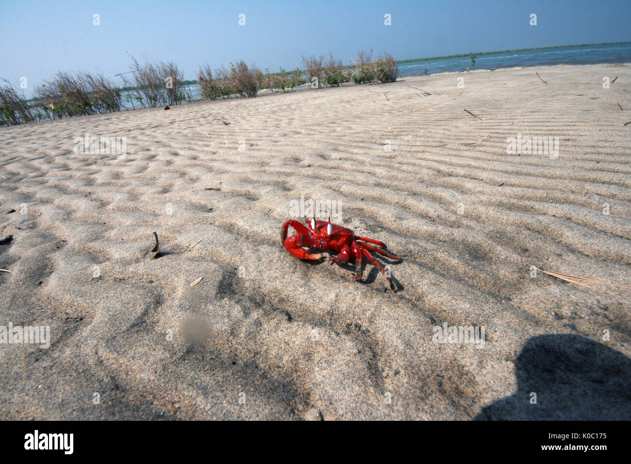 Sonadia island hi-res stock photography and images - Alamy