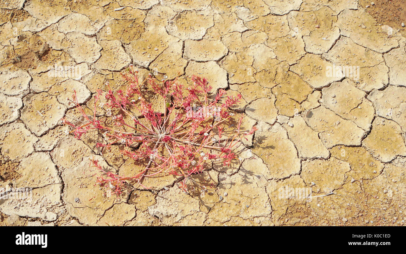 Cracking land hi-res stock photography and images - Alamy