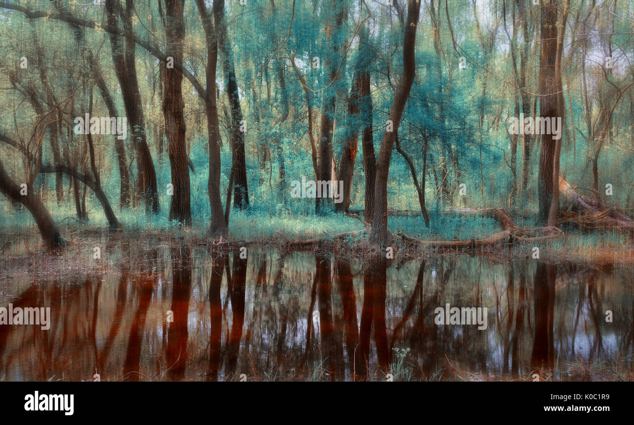 Amazing Letea Forest in Danube Delta, Romania. Creative image Stock ...