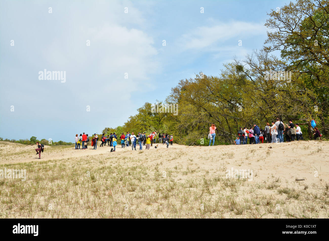 Old Letea Forest and sand dunes, amazing tourist attraction in Danube ...
