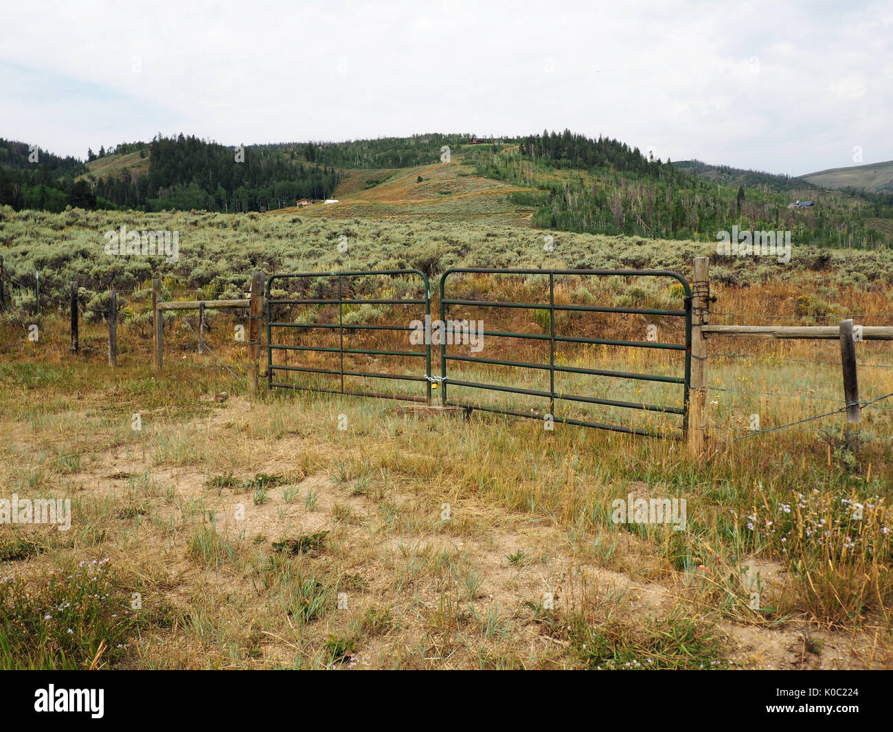 Prairie fence hi-res stock photography and images - Alamy