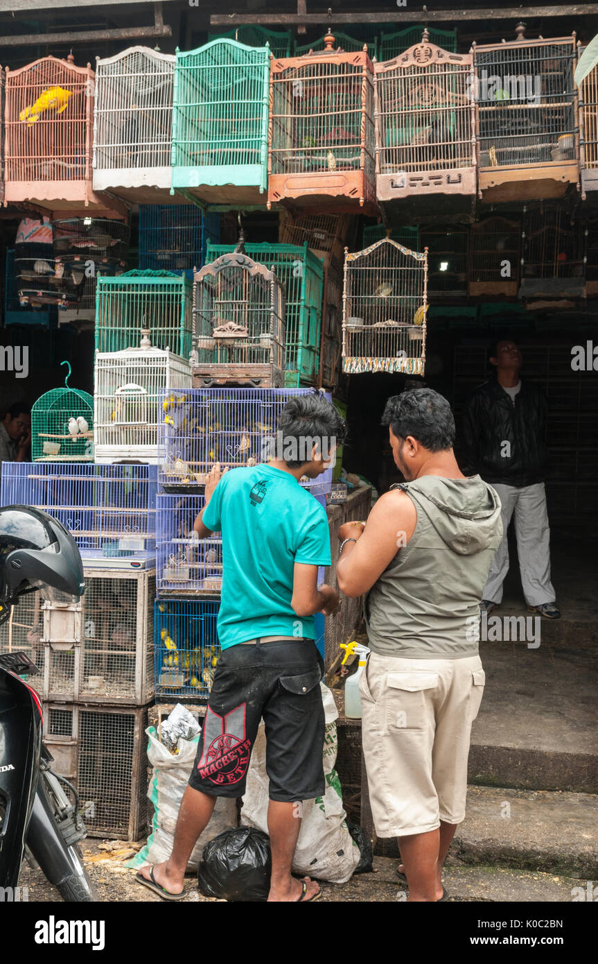Live bird markets hi-res stock photography and images - Alamy
