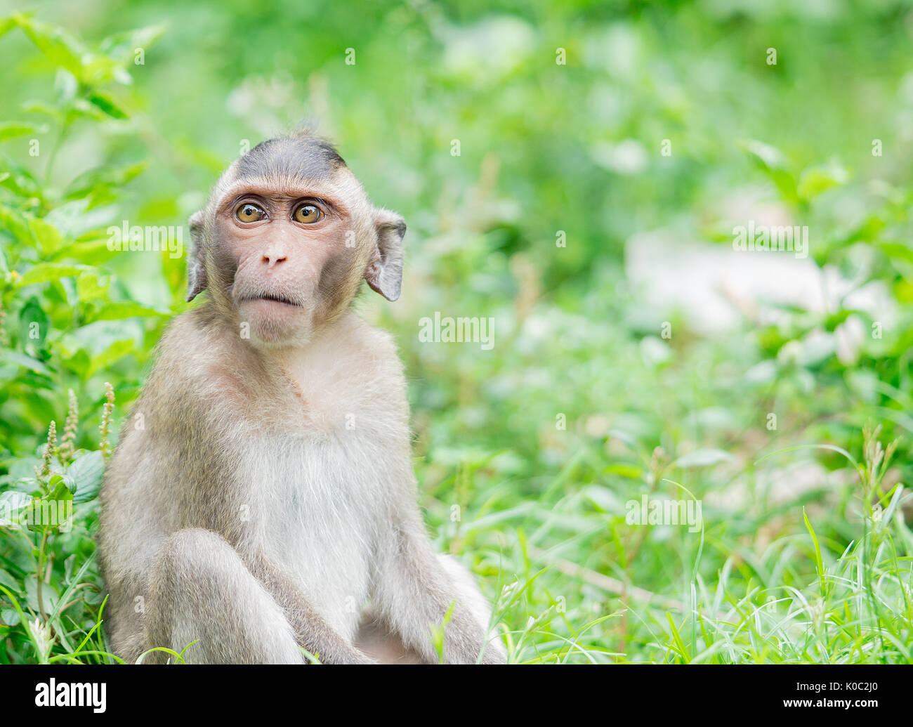 Expressing fear hi-res stock photography and images - Alamy