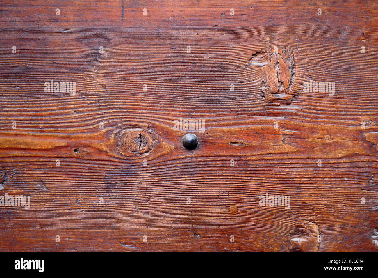 Tree timber used for furniture hi-res stock photography and images - Alamy