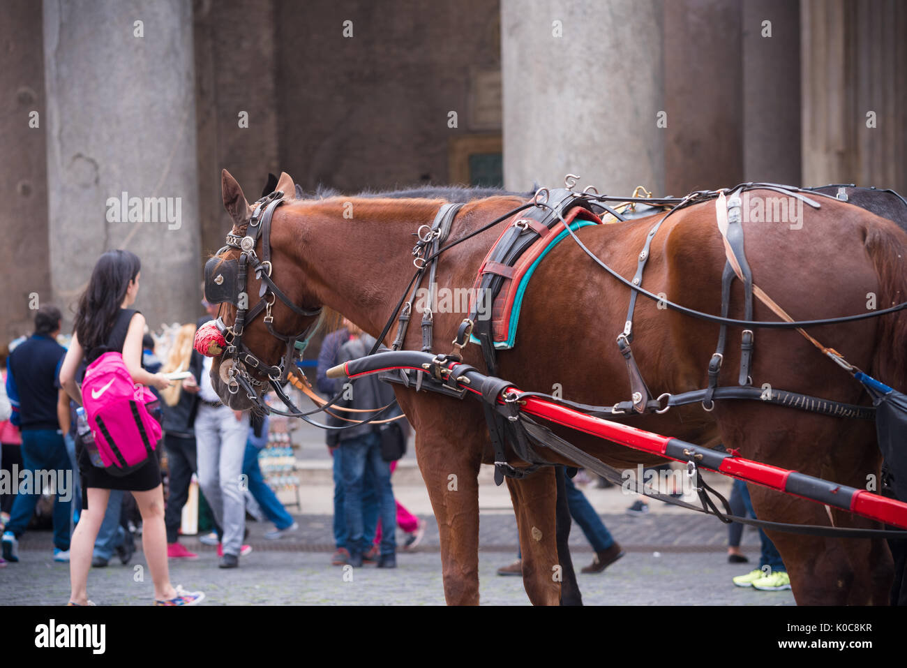 Medieval horse stable hi-res stock photography and images - Alamy