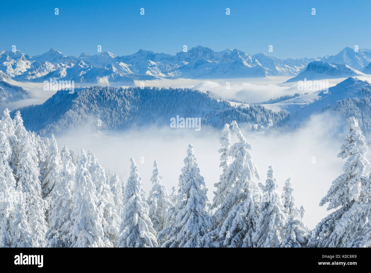 Aussicht von der Rigi, Schweiz Stock Photo - Alamy
