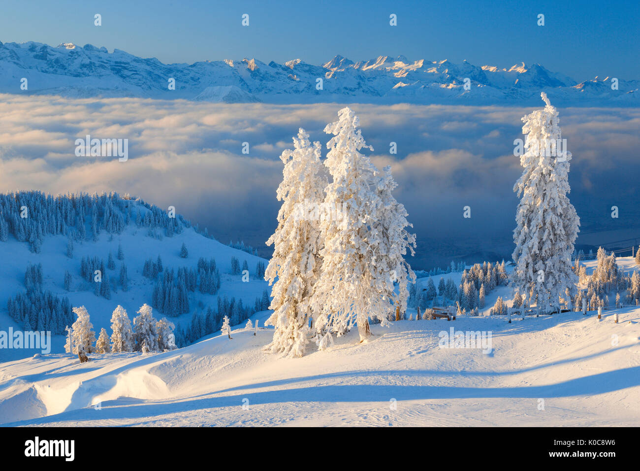 Aussicht von der Rigi, Schweiz Stock Photo - Alamy