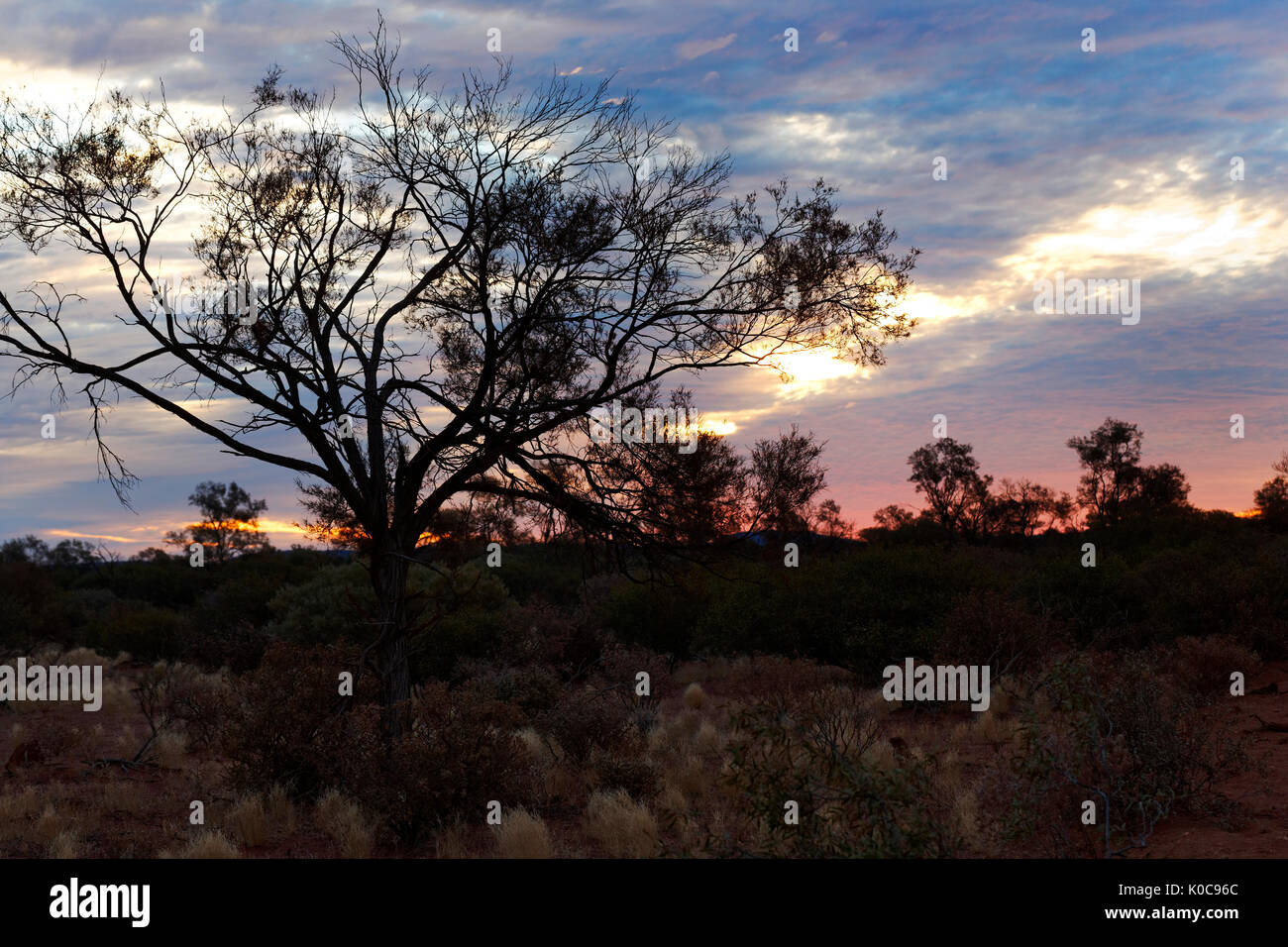Australian outback landscape sunset hi-res stock photography and images ...