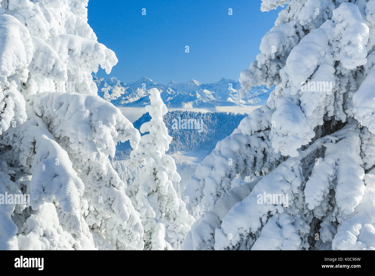 Aussicht von der Rigi, Schweiz Stock Photo - Alamy