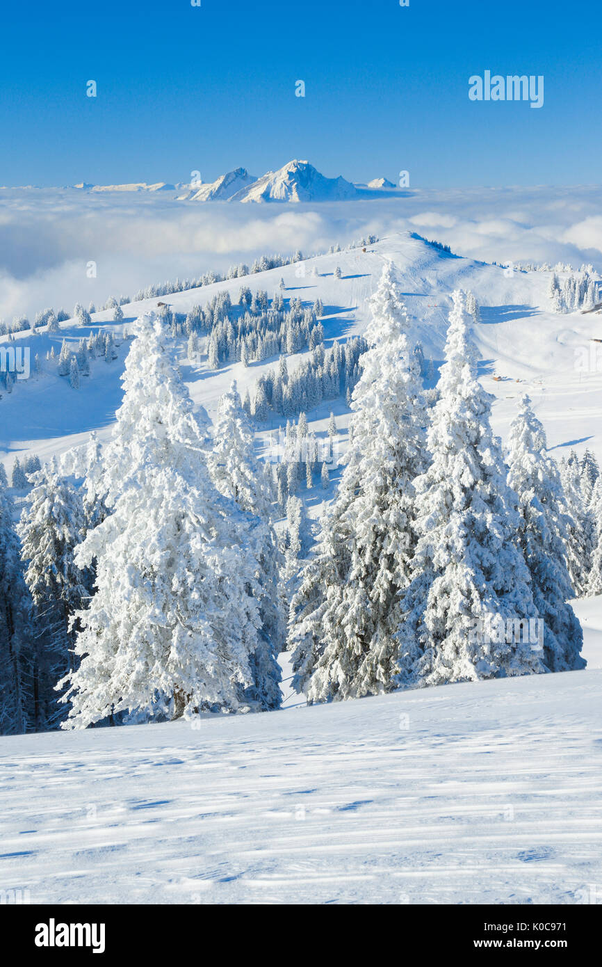 Pilatus, Aussicht Rigi Kulm, Schweiz Stock Photo - Alamy