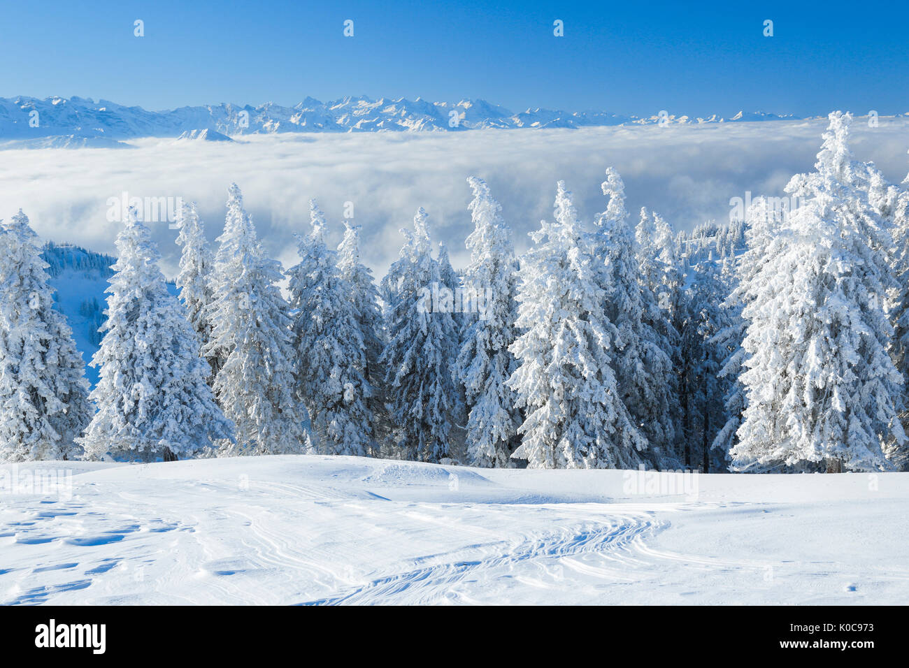 Aussicht von der Rigi, Schweiz Stock Photo - Alamy