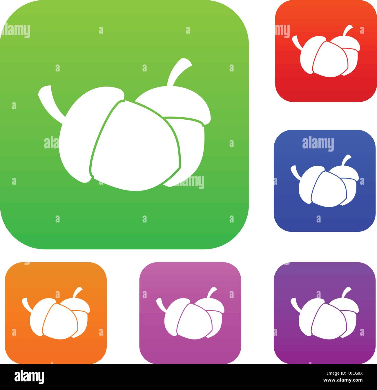 Acorn set collection Stock Vector Image & Art - Alamy