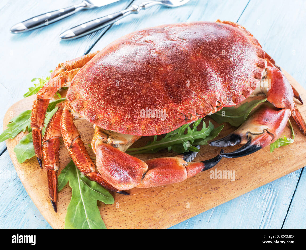 Cooked brown crab or edible crab isolated on the blue wooden table ...
