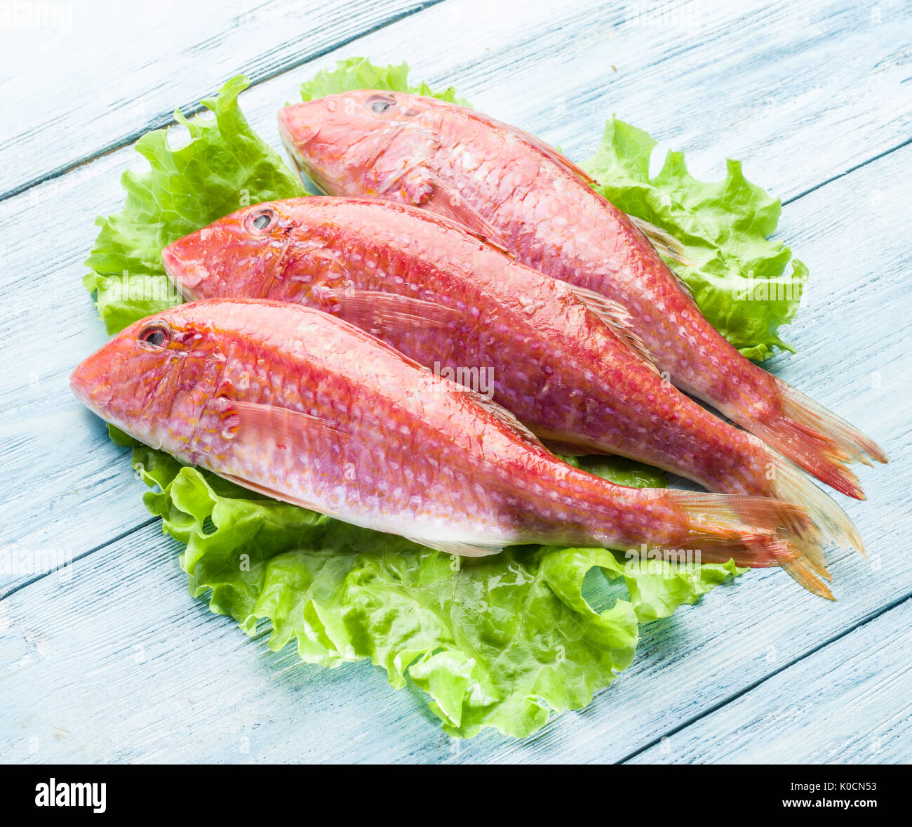 Surmullets hi-res stock photography and images - Alamy