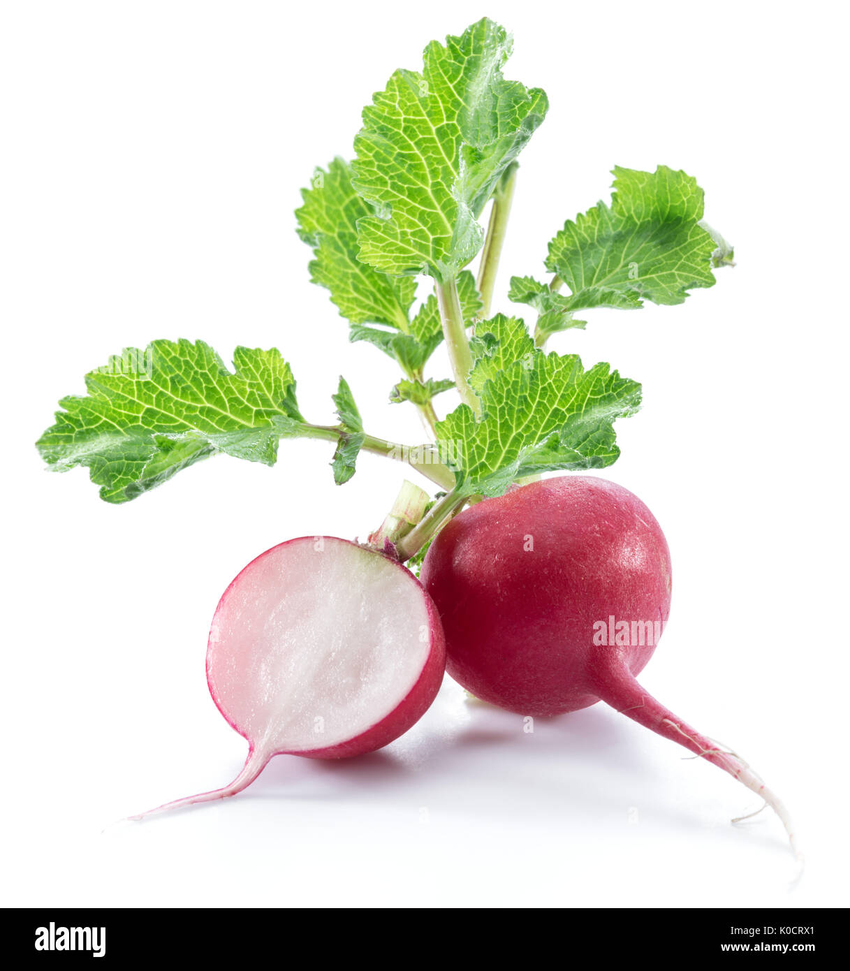 Radish root cross section hi-res stock photography and images - Alamy