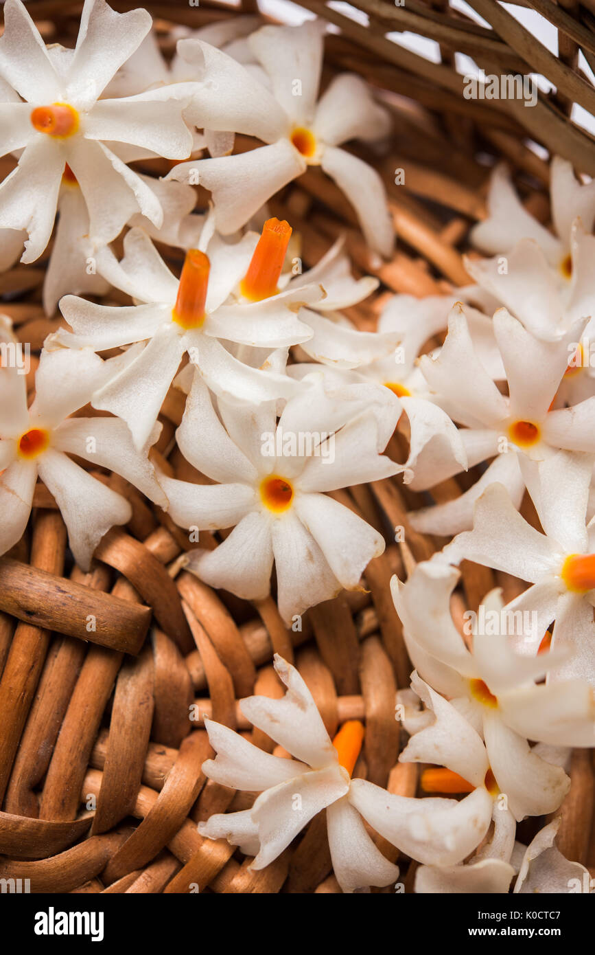 Prajakta hi-res stock photography and images - Alamy