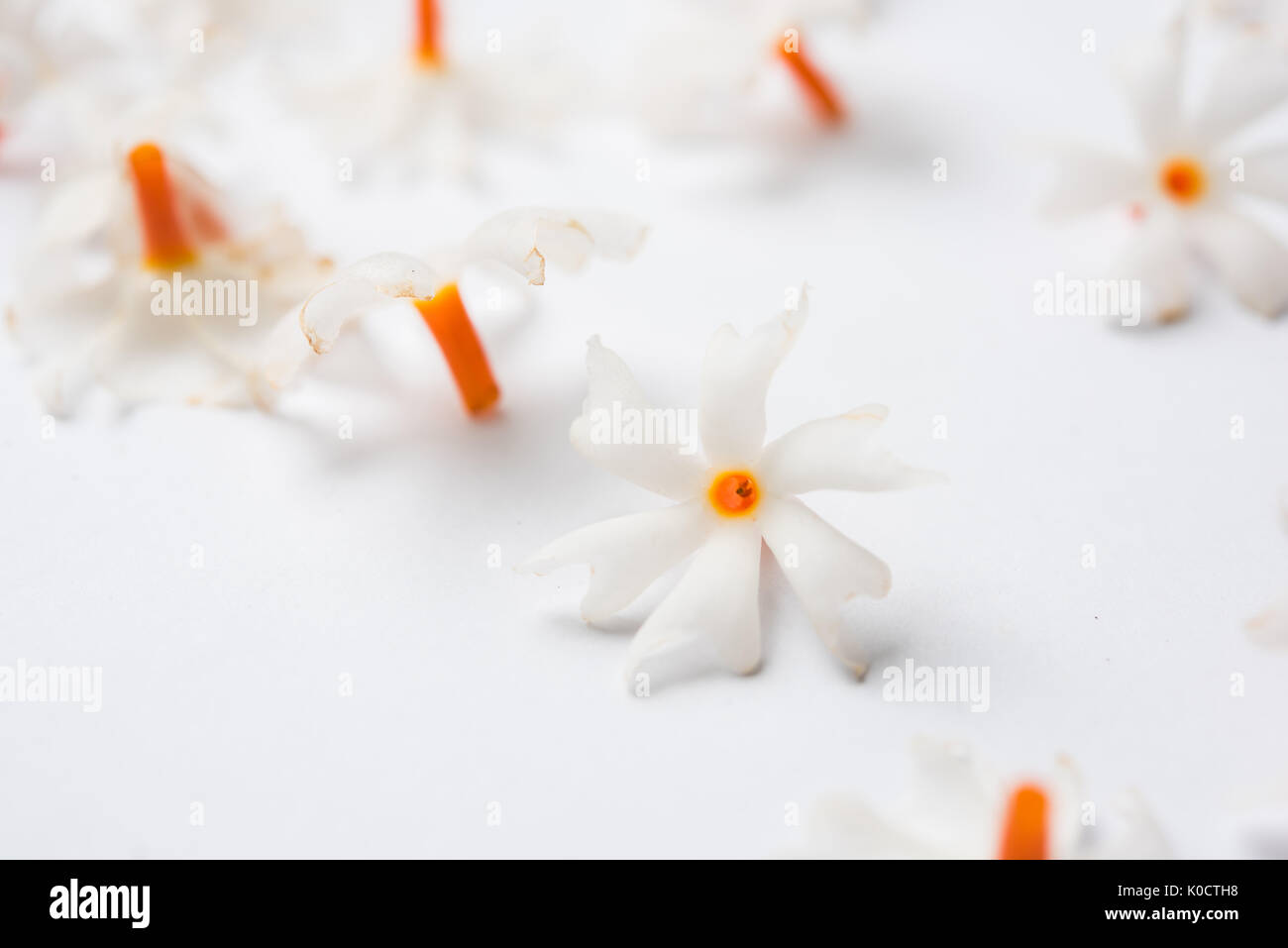 Prajakta hi-res stock photography and images - Alamy