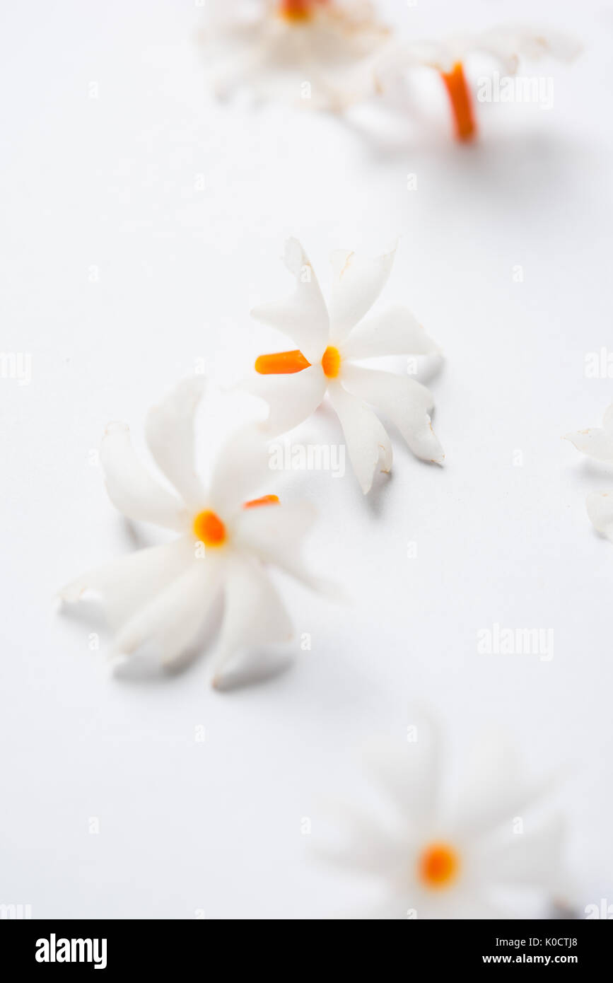 Prajakta hi-res stock photography and images - Alamy