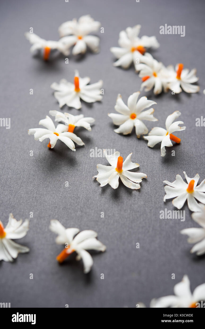 Prajakta hi-res stock photography and images - Alamy