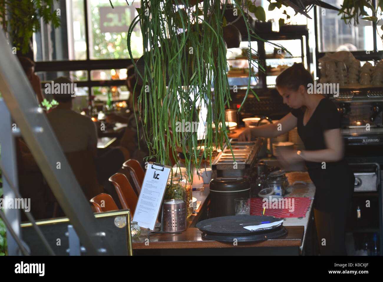 Working behind the bar hi-res stock photography and images - Alamy