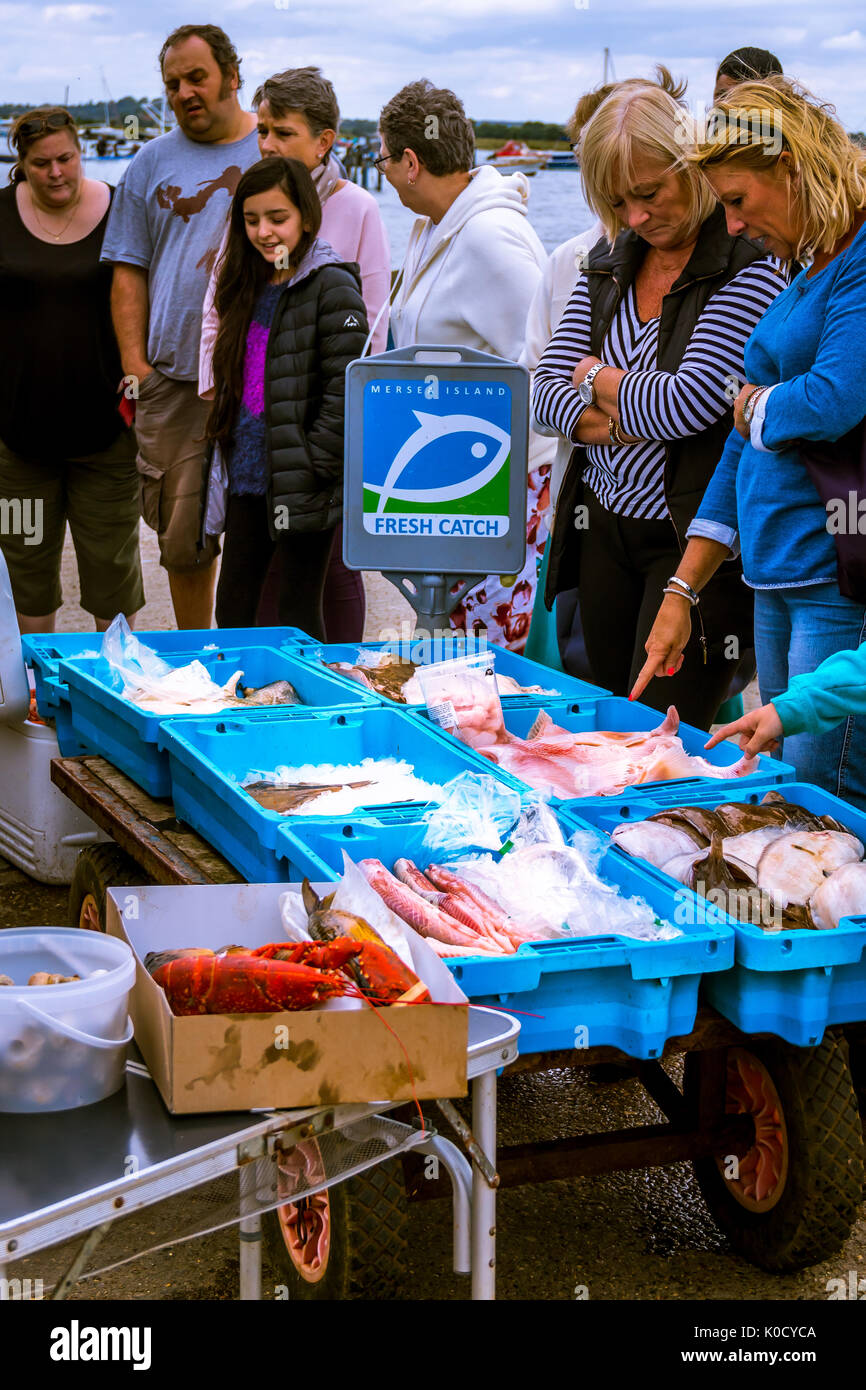 Sailing fish hi-res stock photography and images - Alamy