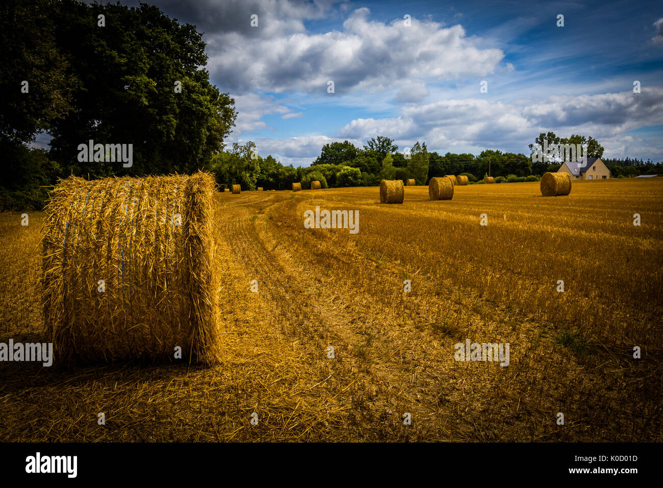 Foin hi-res stock photography and images - Alamy