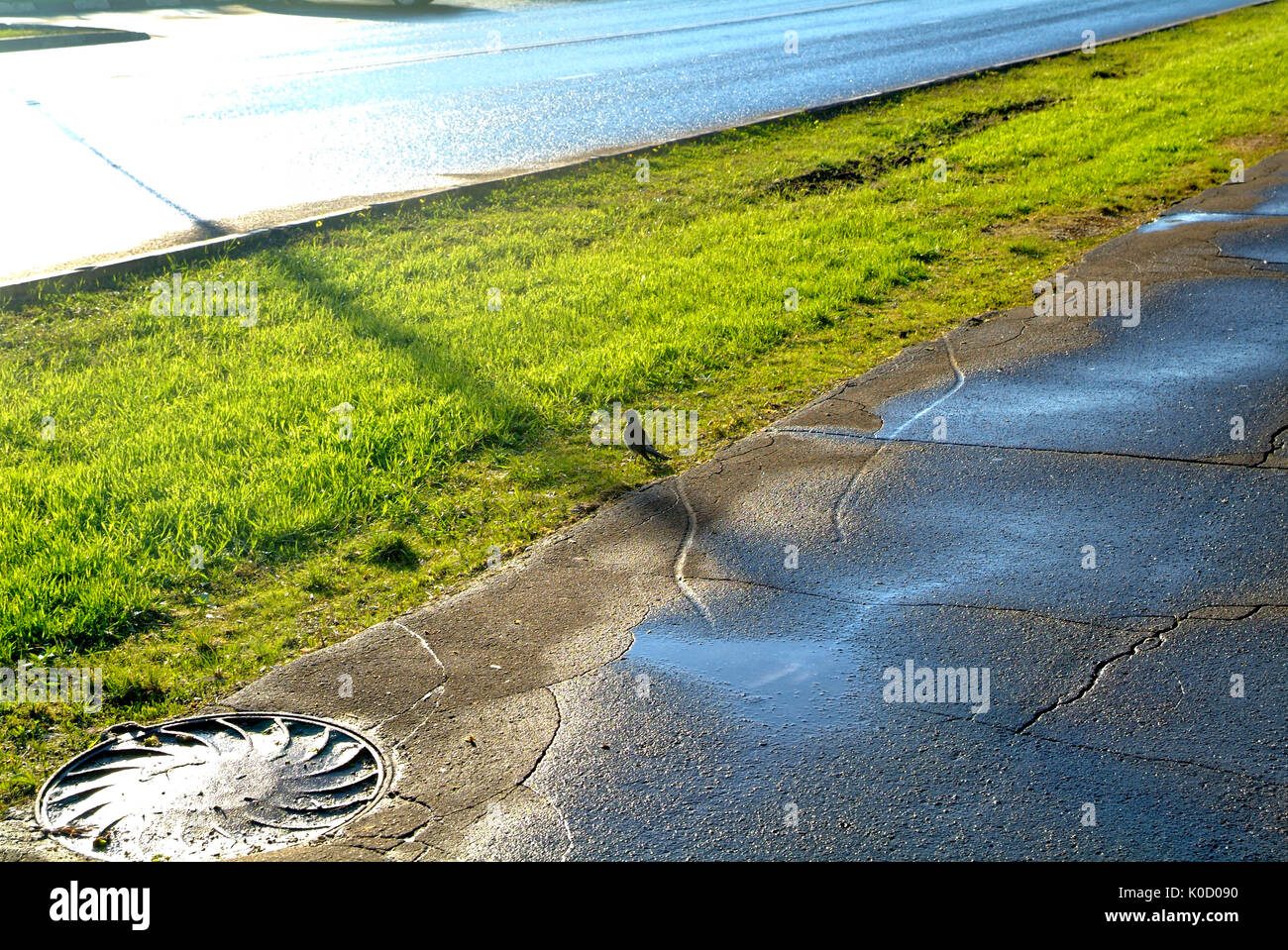 the reflection of sun Shine in a puddle, Moscow Stock Photo - Alamy