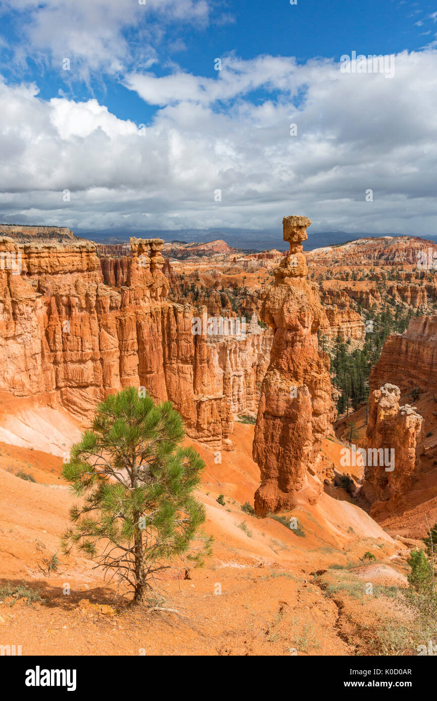 Hoodoos and Thor's Hammer from Navajo Trail Loop. Bryce Canyon National ...