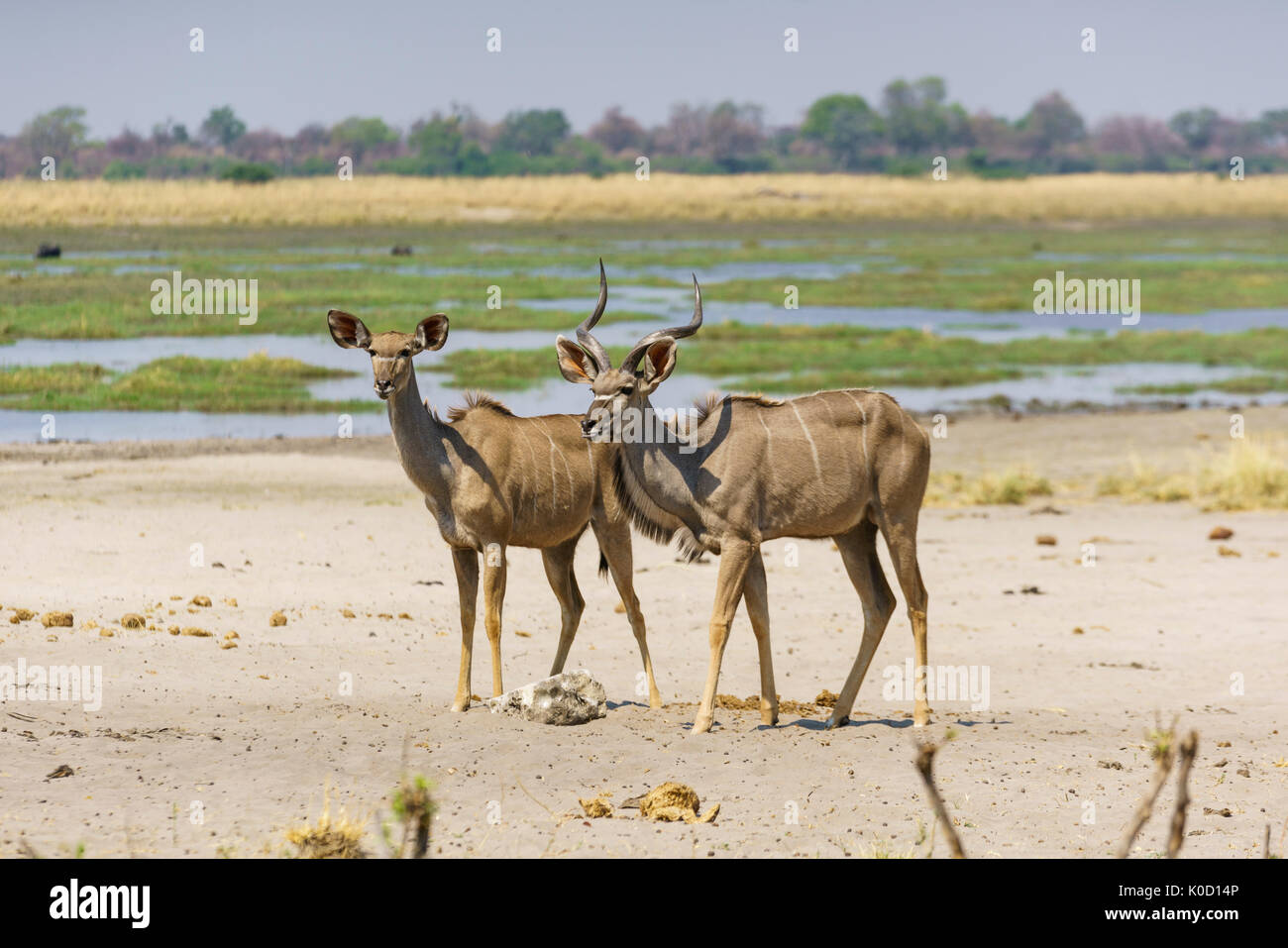 Mahango Game Reserve High Resolution Stock Photography and Images - Alamy