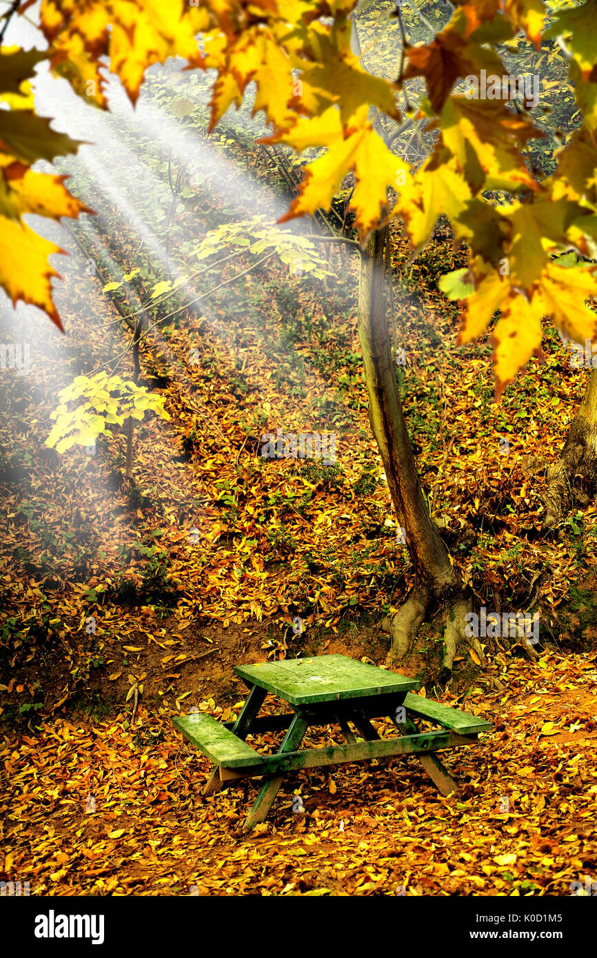 Colorful autumn leaves and picnic table in park Stock Photo - Alamy