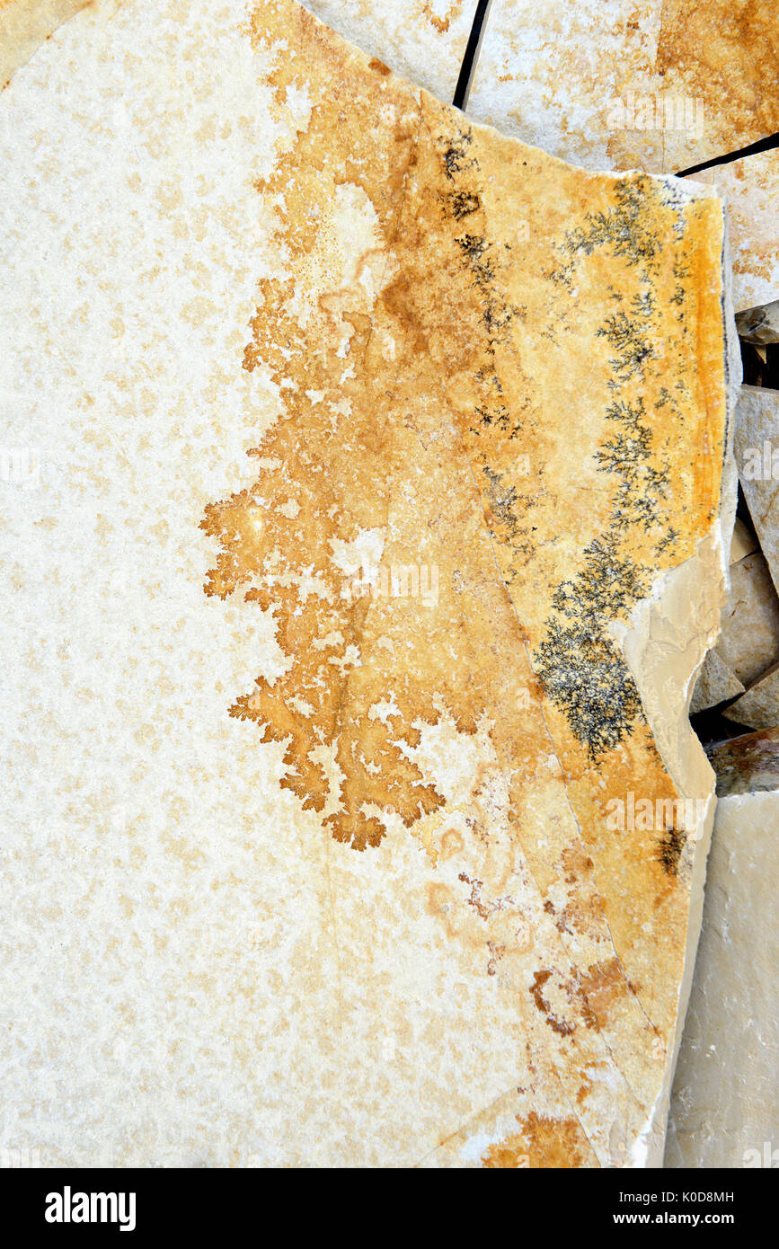 Dendrite minerals on limestone rocks of Solnhofen. full frame ...