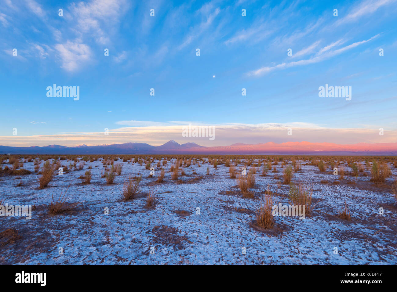 Atacama andes hi-res stock photography and images - Alamy