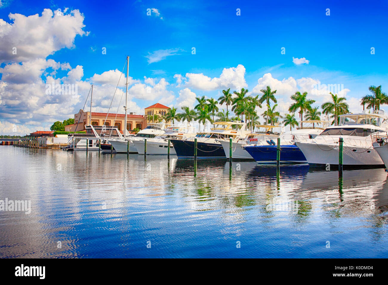 Manatee river hi-res stock photography and images - Alamy