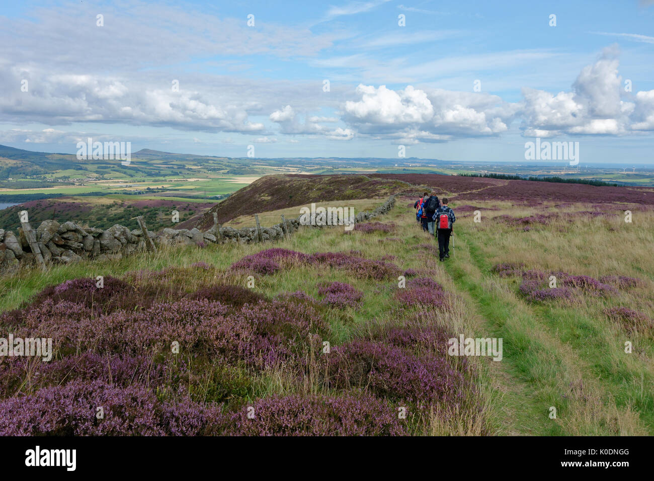 Walkers on Benarty Hill, near Ballingry, Fife, Scotland Stock Photo - Alamy