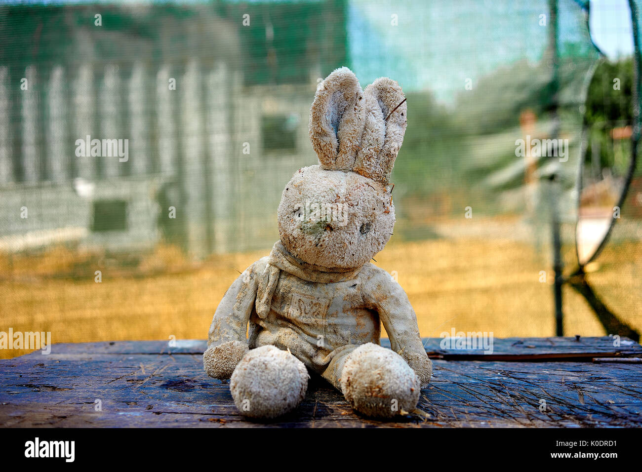 vintage rabbit puppet Stock Photo - Alamy