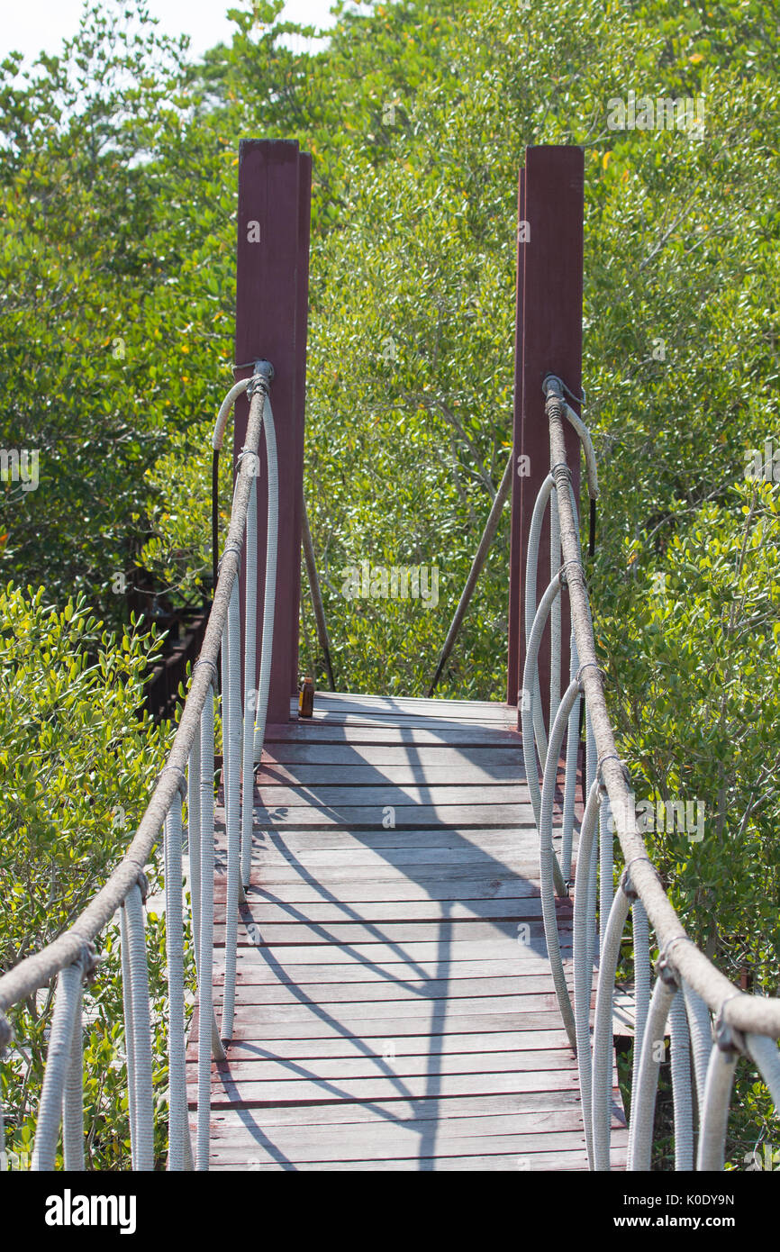 Forest rope bridge hi-res stock photography and images - Alamy