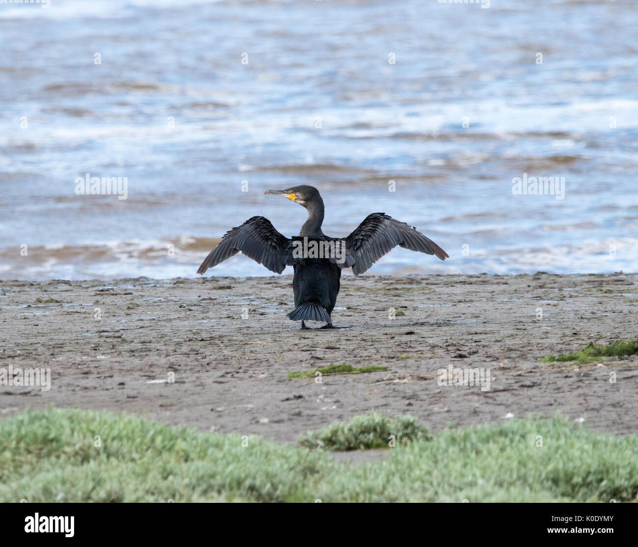 Free standing display hi-res stock photography and images - Alamy