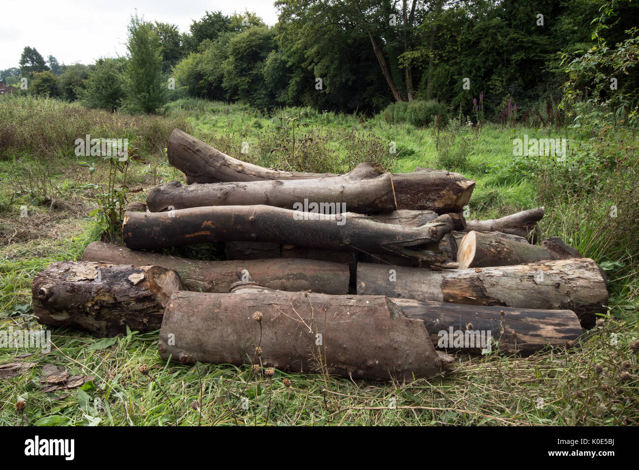 Pile of logs small hi-res stock photography and images - Alamy