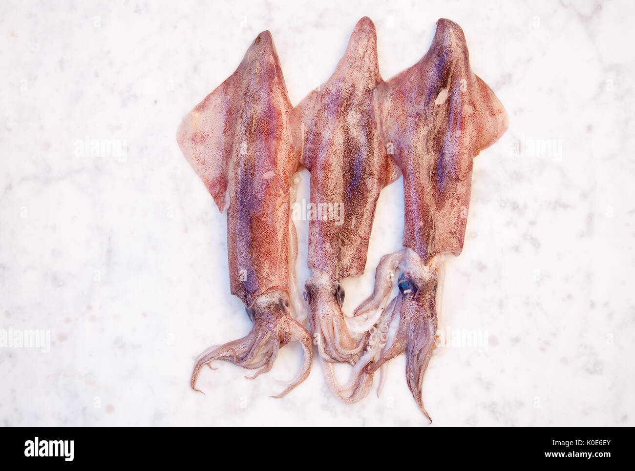 Fresh calamari seen from above Stock Photo - Alamy