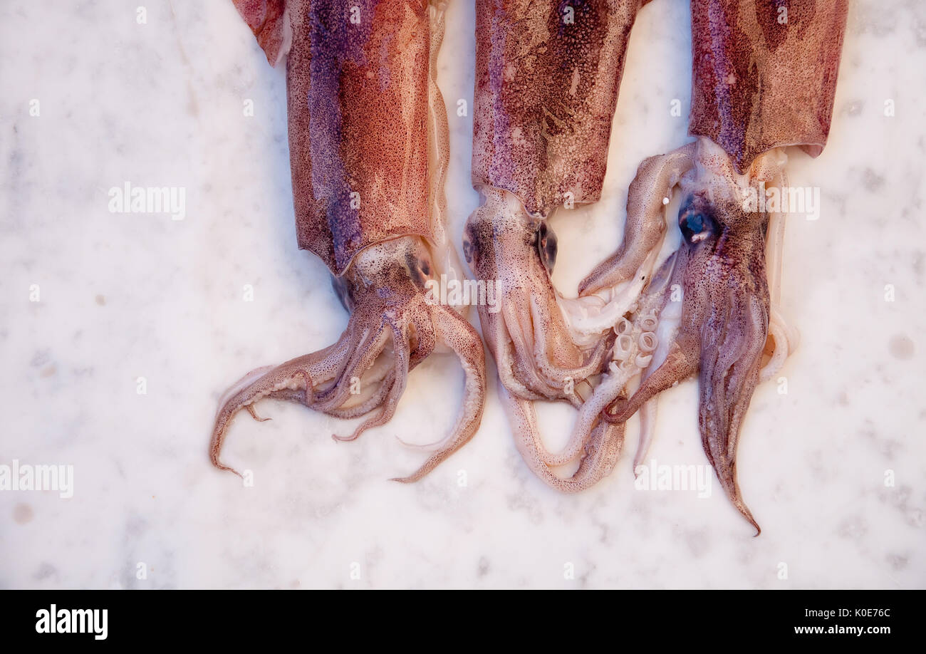 Fresh calamari and chips hi-res stock photography and images - Alamy