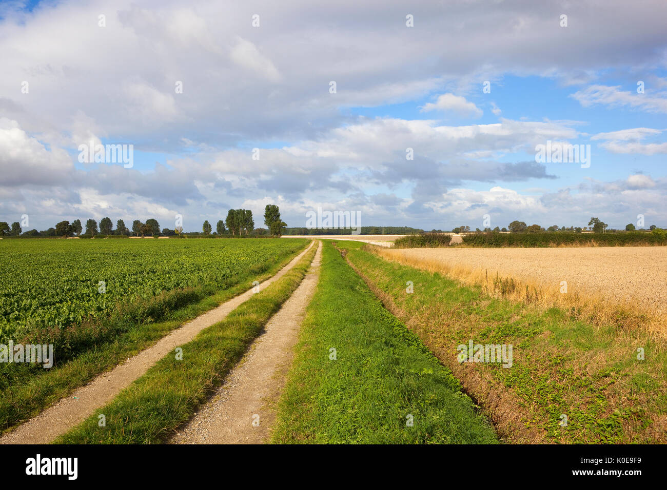 Sugar ditch hi-res stock photography and images - Alamy