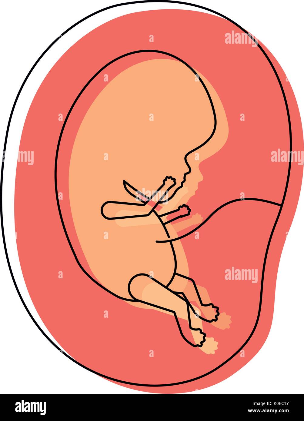 watercolor painted silhouette of side view fetus human growth in ...