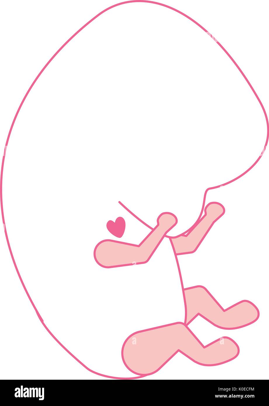 Fetal Heart Ultrasound Stock Vector Images Alamy