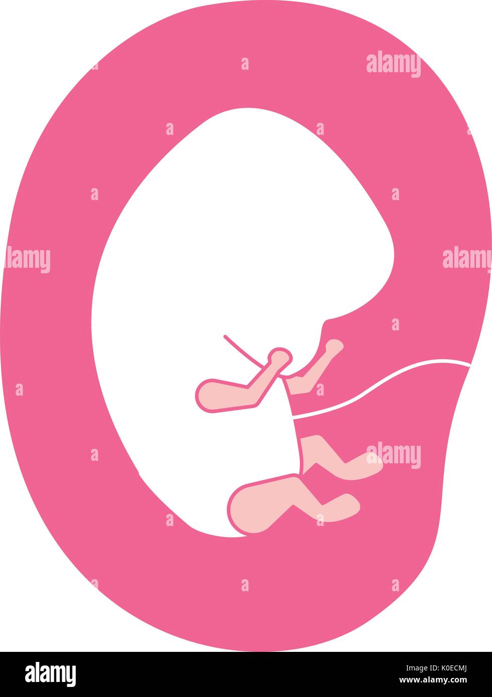 Ultrasound fetus in womb Stock Vector Images - Alamy
