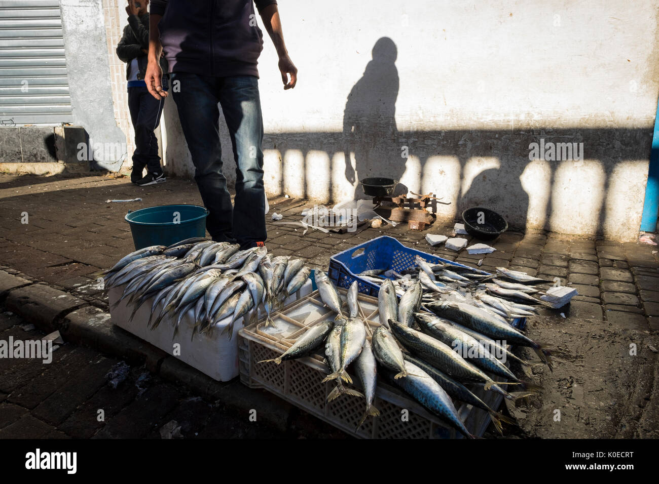 Morocco, Tangier, fish market Stock Photo - Alamy