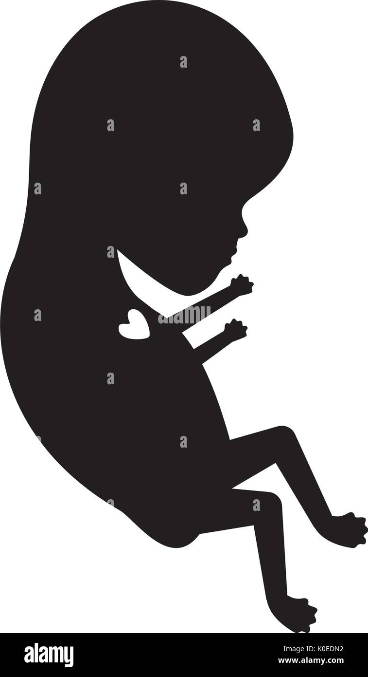 black silhouette of side view fetal growth a few weeks Stock Vector ...