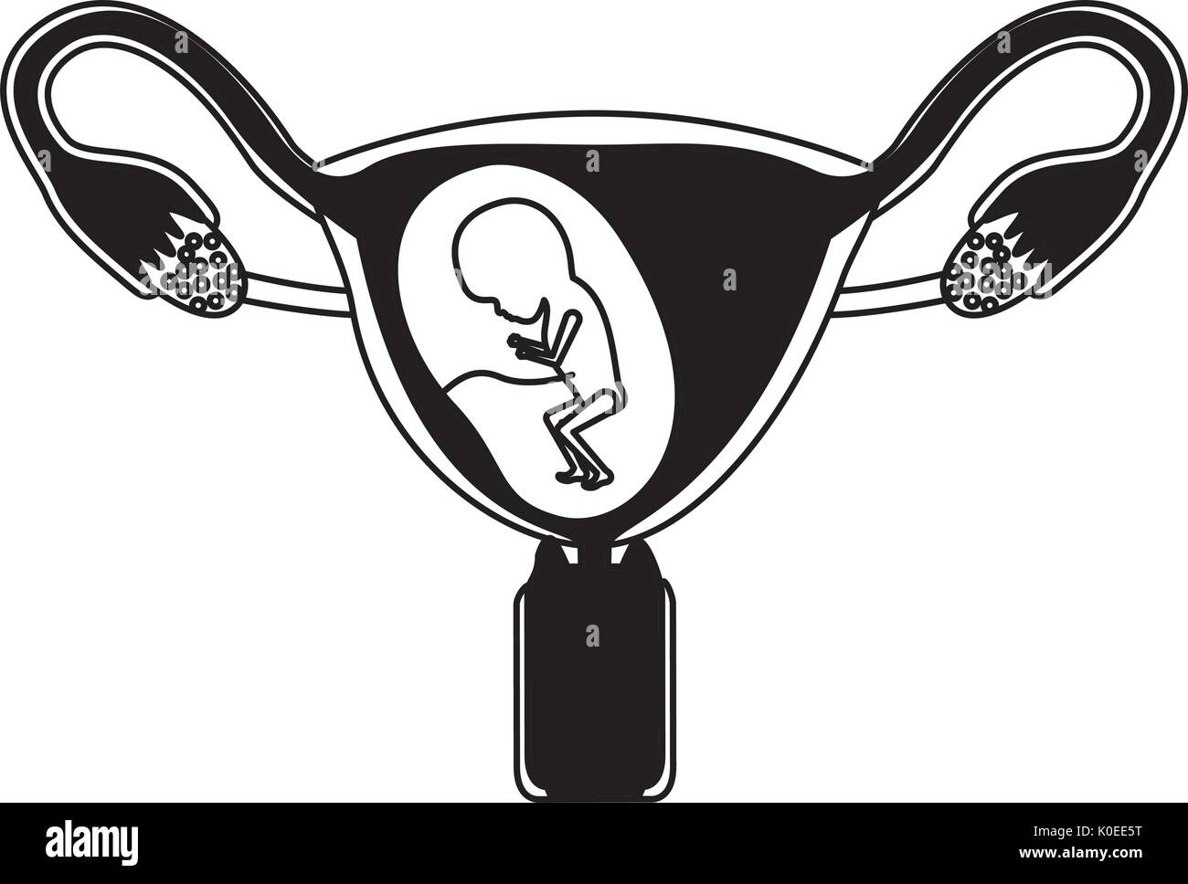 Black Silhouette Of Female Reproductive System Ovaries With Fetus Human